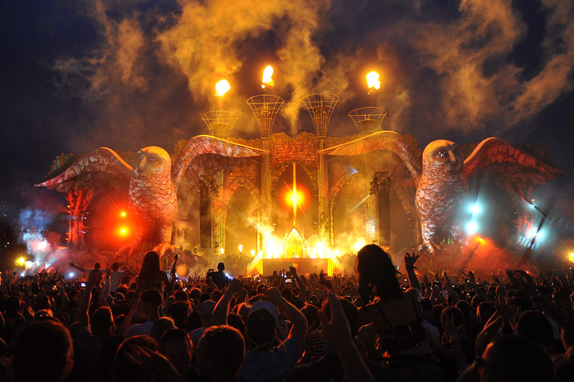 Blog - David Jackson Photography